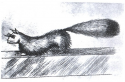 The strange and deeply unlikely tale of Gef the talking mongoose - The ...