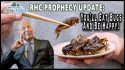 I will eat the bugs: the latest insect-eating meme from conspiracy ...