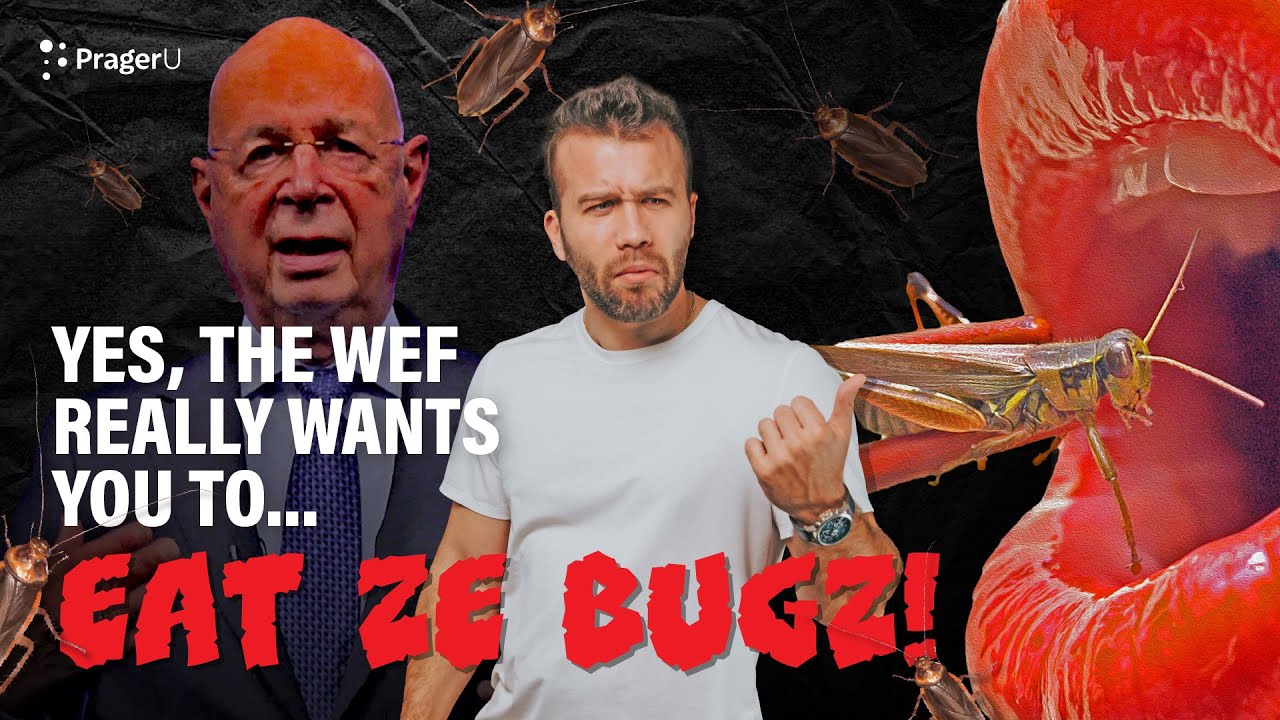 I will eat the bugs: the latest insect-eating meme from conspiracy ...