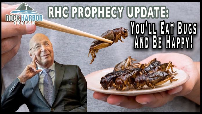 I will eat the bugs: the latest insect-eating meme from conspiracy ...