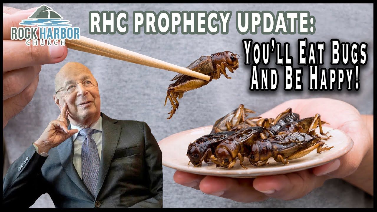 I will eat the bugs: the latest insect-eating meme from conspiracy ...